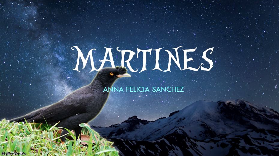 Martines by Anna Felicia Sanchez (Contextual Analysis by Kate Borlasa)