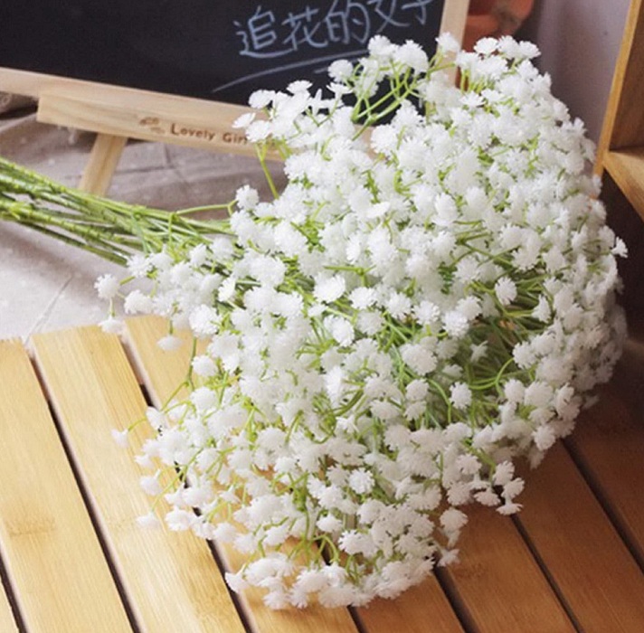 Informasi Harga Bunga Baby Breath dan Tempat Membelinya