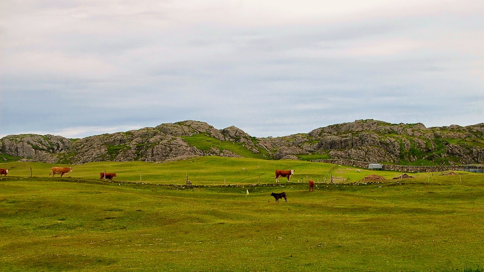 Coloring Without Borders: Monday Exposure: Seaside golf on the Isle of Iona