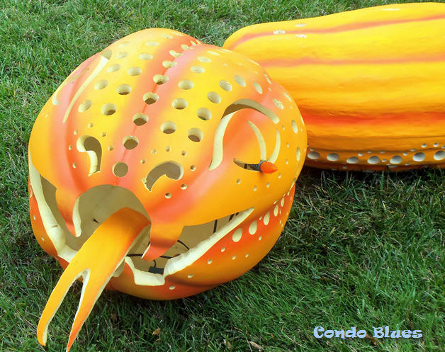 Condo Blues: Carve a Life Size Snake Pumpkin for Halloween!
