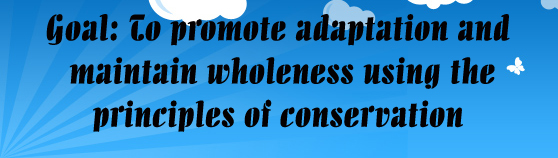 Myra Levine and the Conservation Model: The Conservation Model