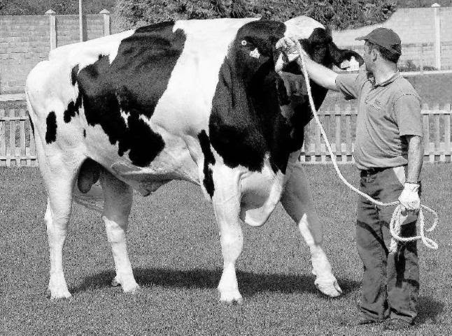 Pitillas: agosto 2014