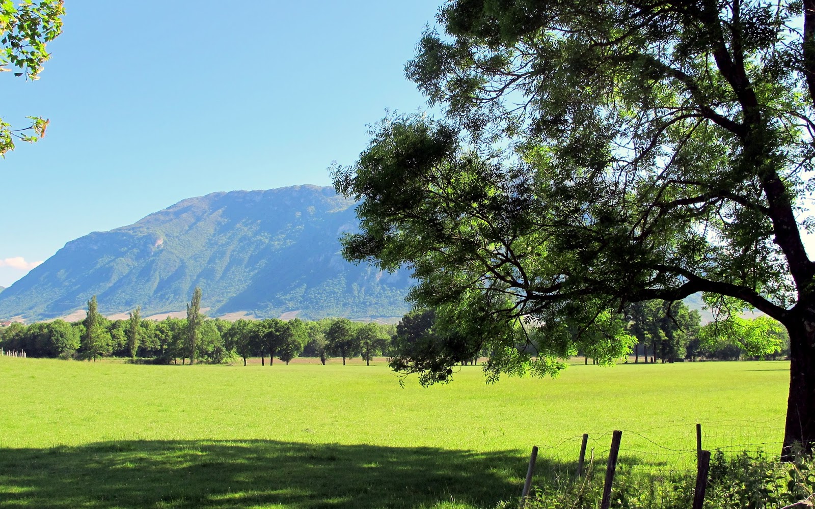 trekking de bernard: Au pied du Granier : plaine, bois, lac, vignoble