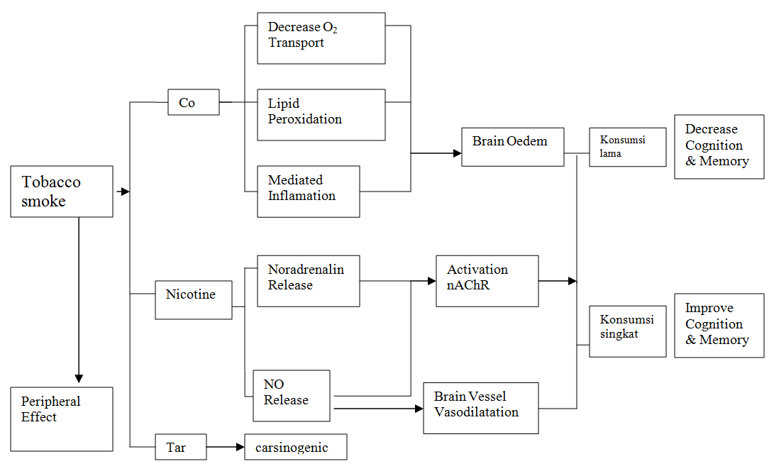 Dokter 23: Efek Rokok Terhadap Sistim Saraf