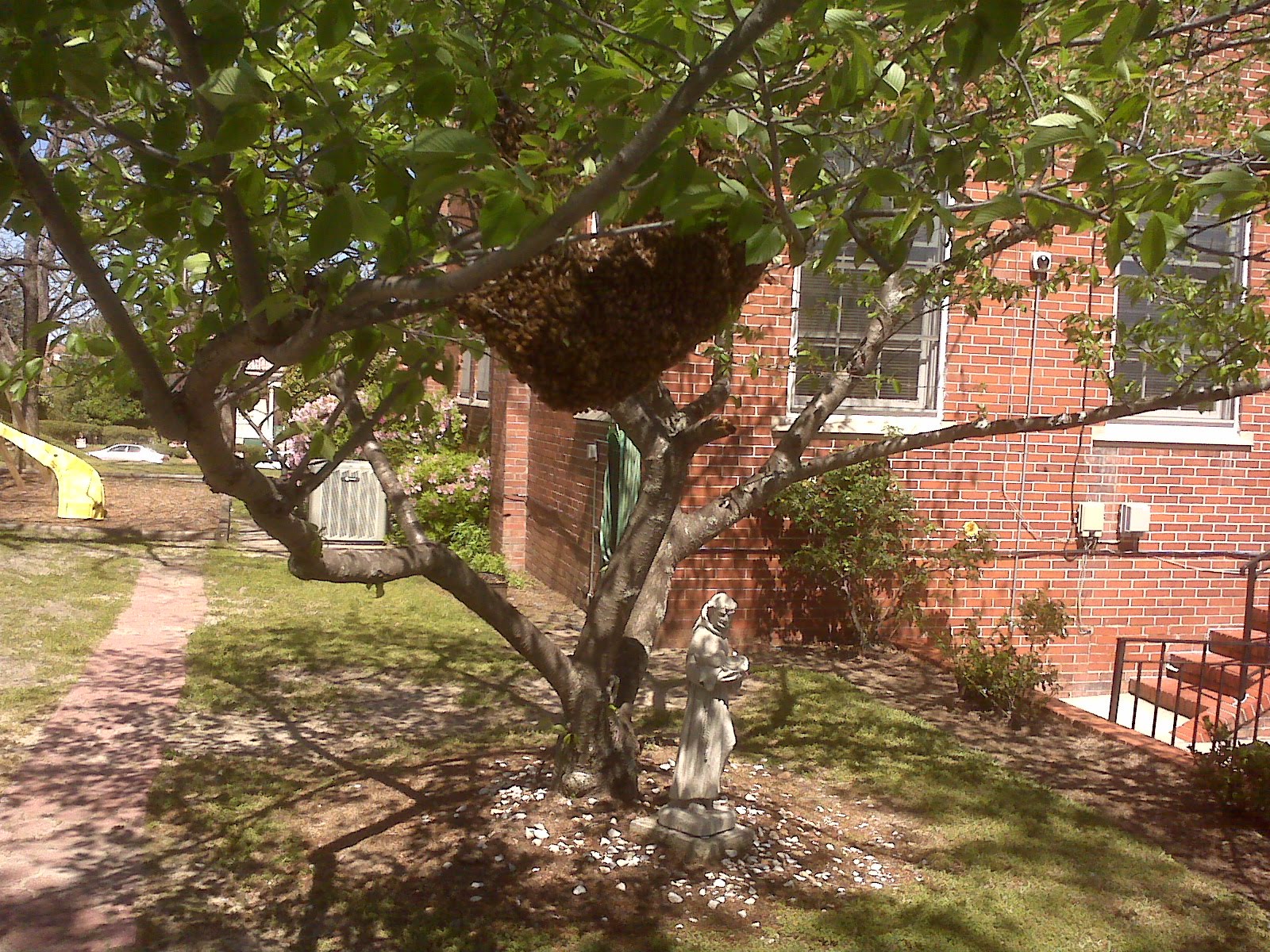 southern orders: AS THOUGH A COLONY OF RATS ISN'T ENOUGH, NOW WE HAVE A ...