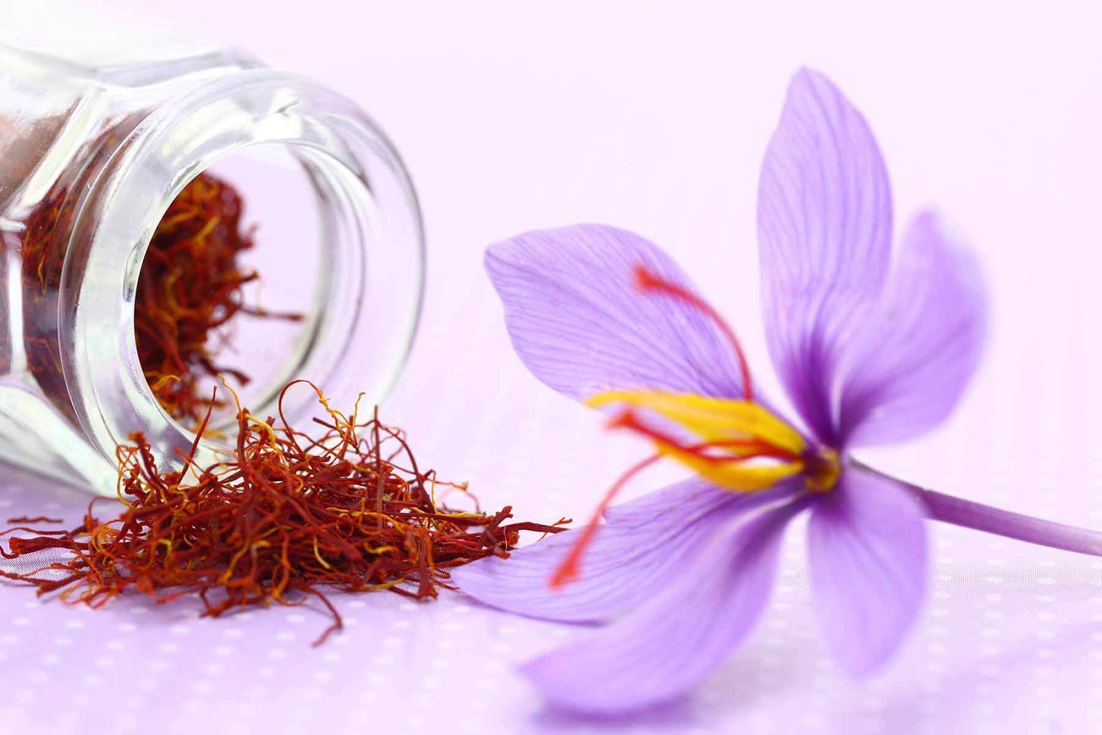 More Interesting Things About Saffron |MyRokan