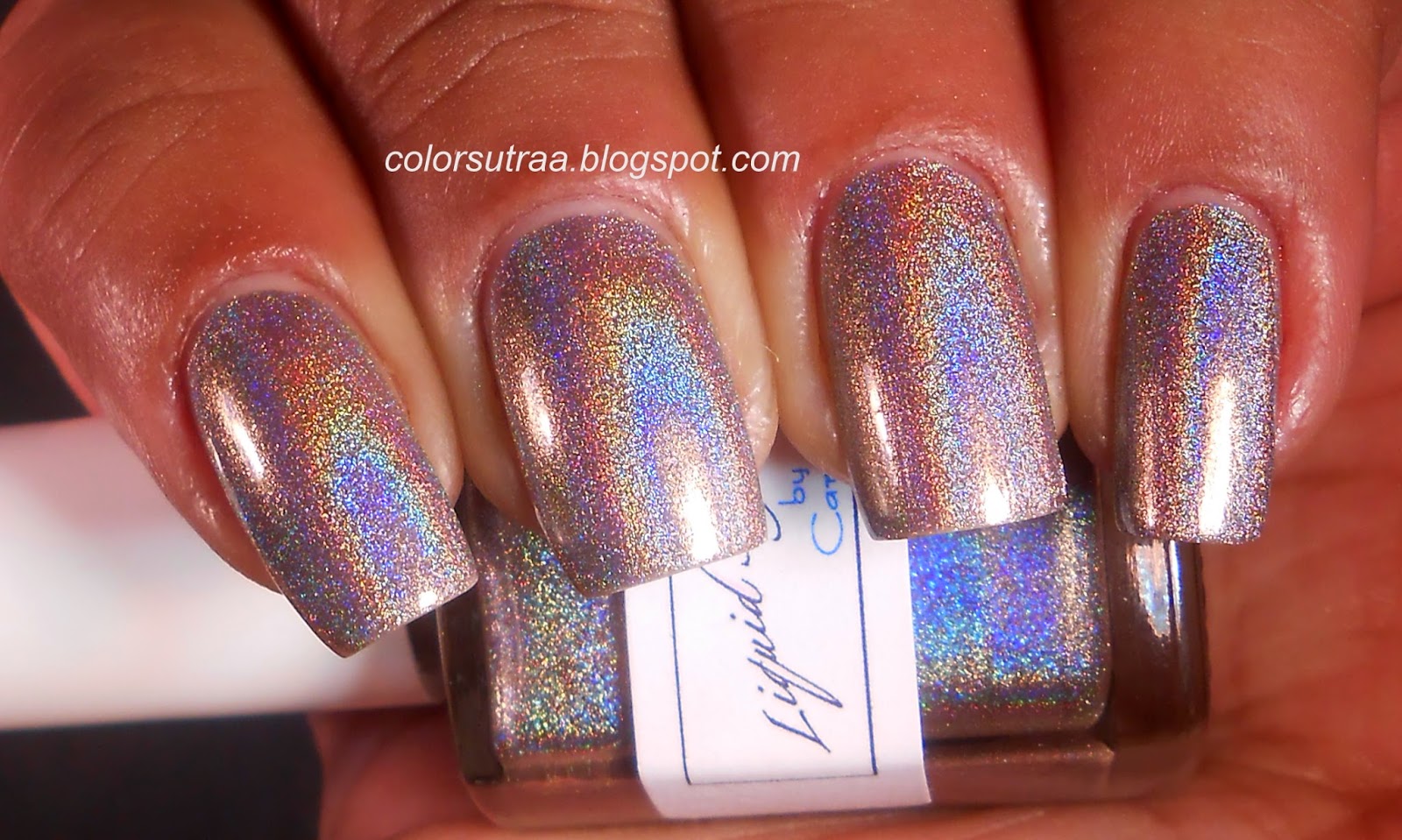 LIQUID SKY LACQUER Part III : Bri's Hella Holo, Walk on the Wild Side ...