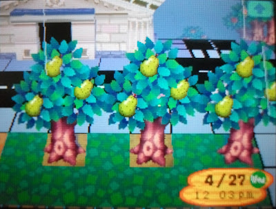 Yui and friends in Animal Crossing Wild World