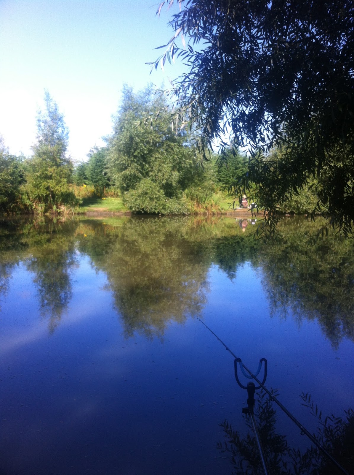 UK fishing venues: Rising Sun Fisheries (Lake 2) - Venue Review