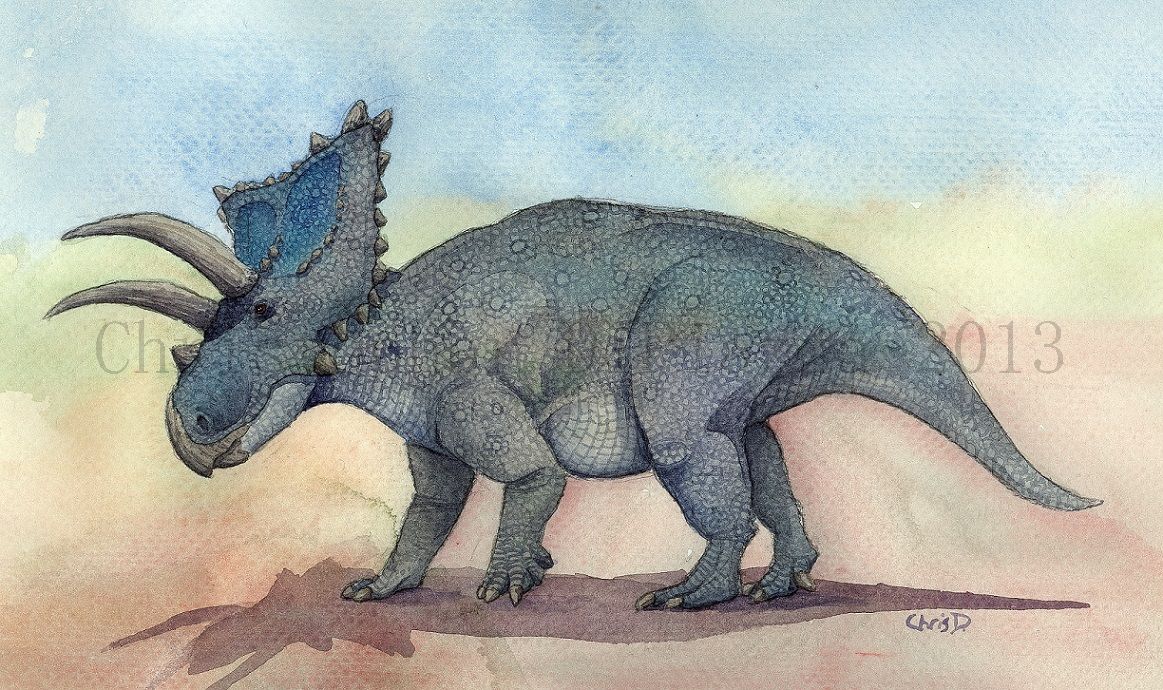 Prehistoric Beast of the Week: Coahuilaceratops: Prehistoric Animal of ...