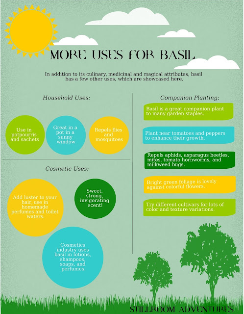 Basil: The Ultimate Guide