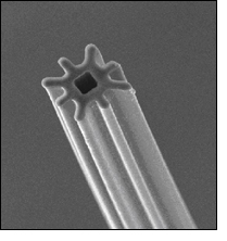 DIFFERENT CROSS SECTIONAL VIEWS OF POLYESTER AND POLYAMIDE FIBRES ...