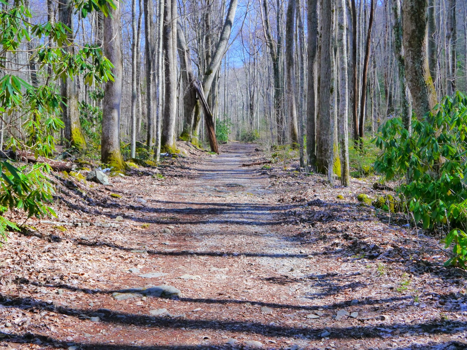 American Travel Journal: Little River Trail - Great Smoky Mountains ...