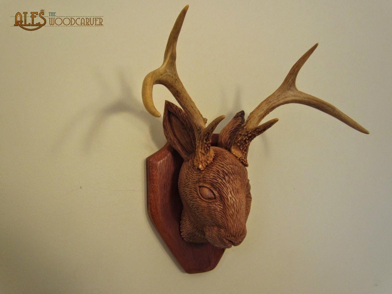 Ales the woodcarver: Jackalope mount
