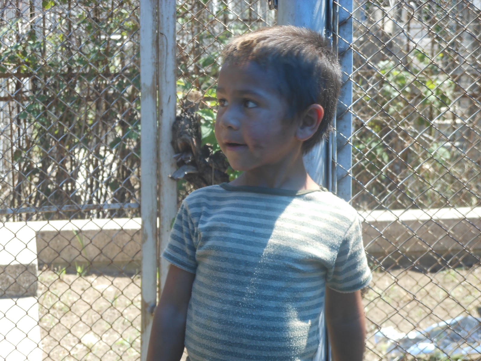 One Day of My Life: Dom people (One Day of Domari Community's Life)