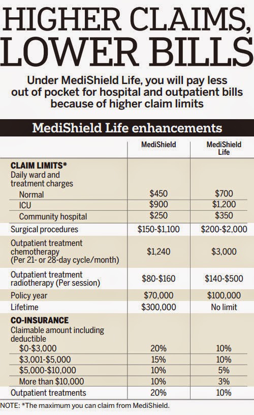 If Only Singaporeans Stopped to Think: MediShield Life Review Committee ...