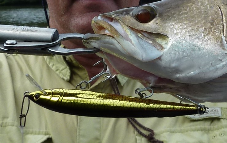 Fishing Cairns: Now That's A Lure!