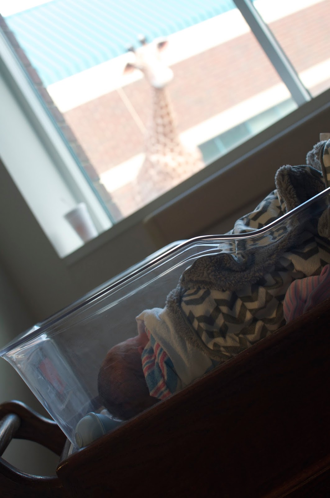 One Thing I Know For Sure: Silas Jacob is Here.