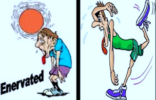 Vocabulary Bites (Part - 18) : Learn New Words Easily - BankExamsToday