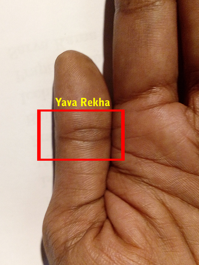 Sacred Science: Hast Rekha Sastra: Hindu Science of Palmistry