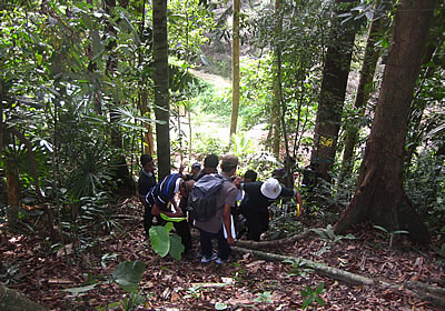 Forest Dweller: Field Trip - Segari Melintang Forest Reserved and Eco ...
