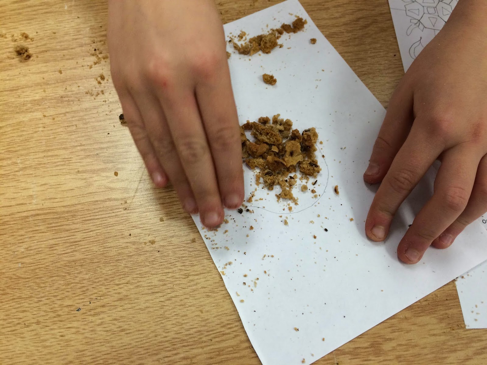 For the Love of Learning: Cookie Mining