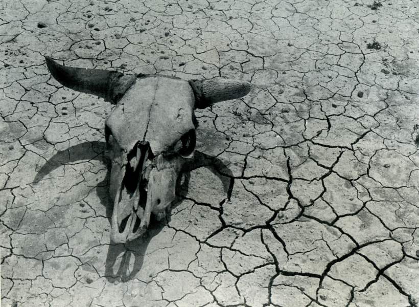 Los Grandes Fotografos: Arthur Rothstein (1915-1985)