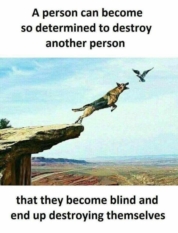 Live the advice you Give! : The True Defeat