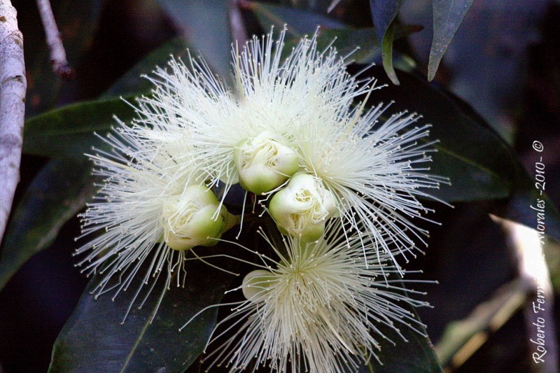 junio 2011 | Explore Costa Rica