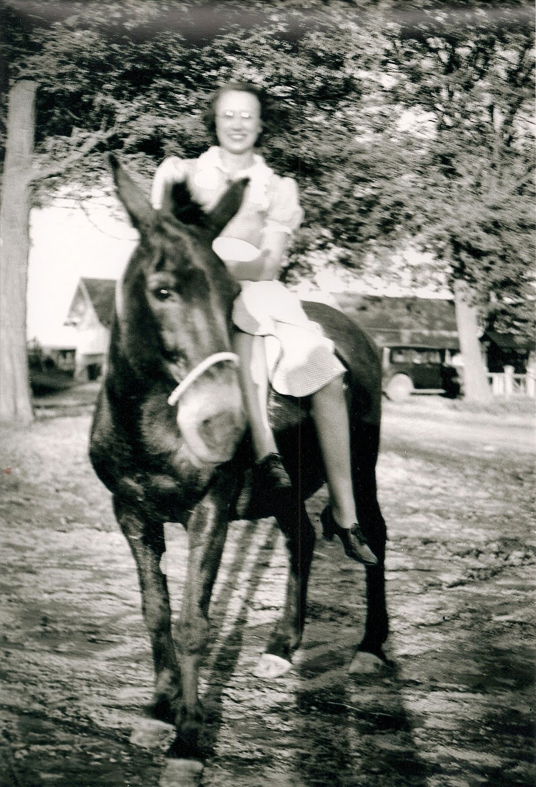 Robison Ranch Cellars