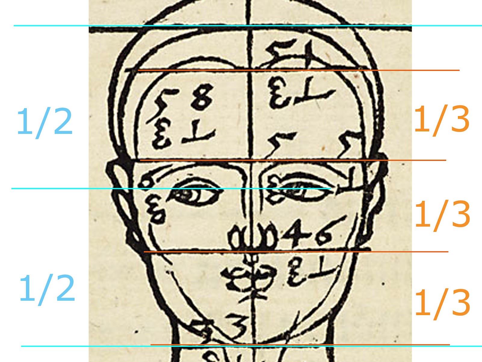 LA PROPORCIÓN EN EL ROSTRO | .imagenesola imagen y la educacion ...