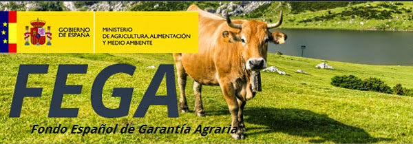 Diaconía Madrid: FEREDE PUBLICA UNA GUÍA PARA AYUDAR A LAS IGLESIAS QUE ...