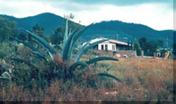 Ecoturismo México: Contepec, michoacán