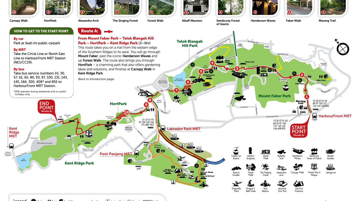 this is my Chocnut: A walk to remember