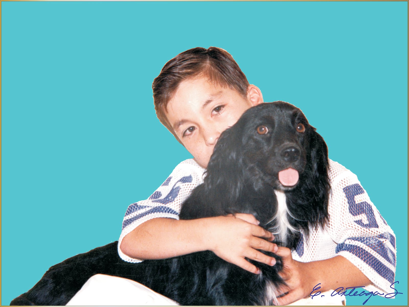 Elefantes Azules Voladores: Platero y yo... y Pocholo