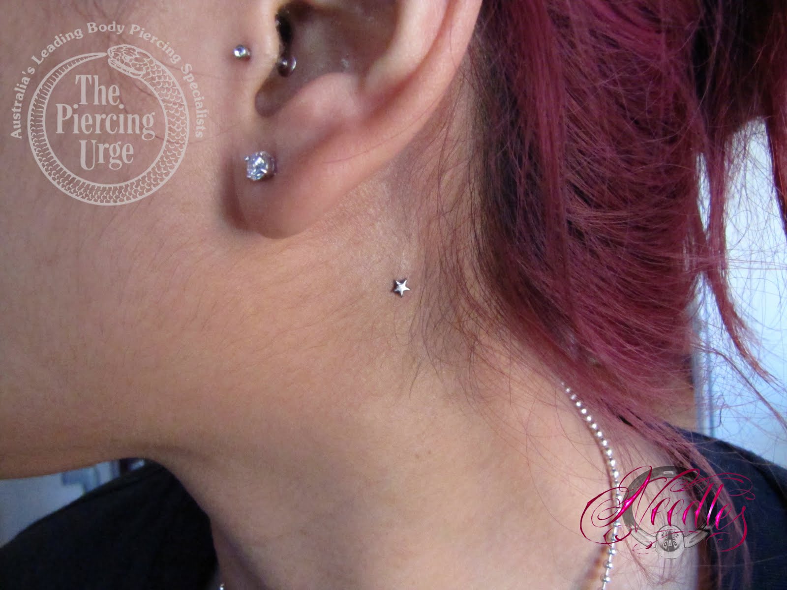 NINE BODY PIERCING BLOG: One Week Old Micro Dermal with Star