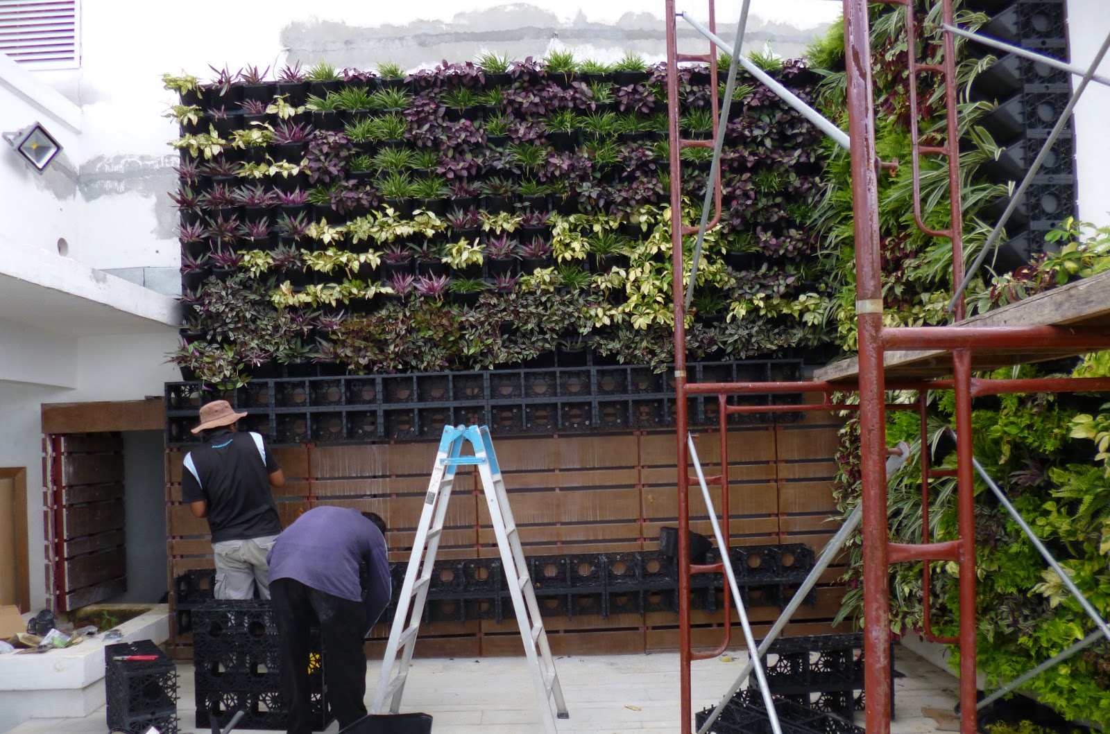 Vertical Garden Concept for Buildings: Greenwall Vertical Garden System ...