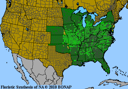 Restoring The Landscape With Native Plants: Native Plant of the Week ...
