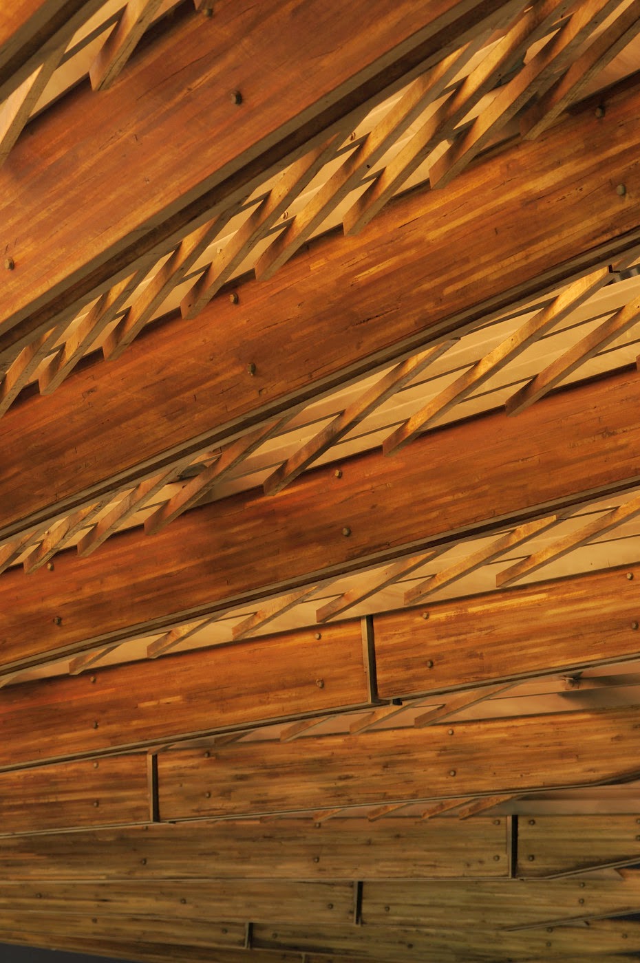 I now know what it's like to live in a jukebox: Francis-Jones Morehen ...