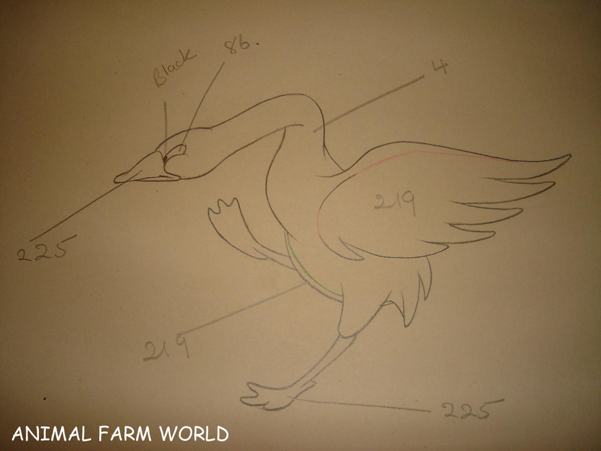 Living Lines Library: Animal Farm (1954) - Production Drawings > Animals