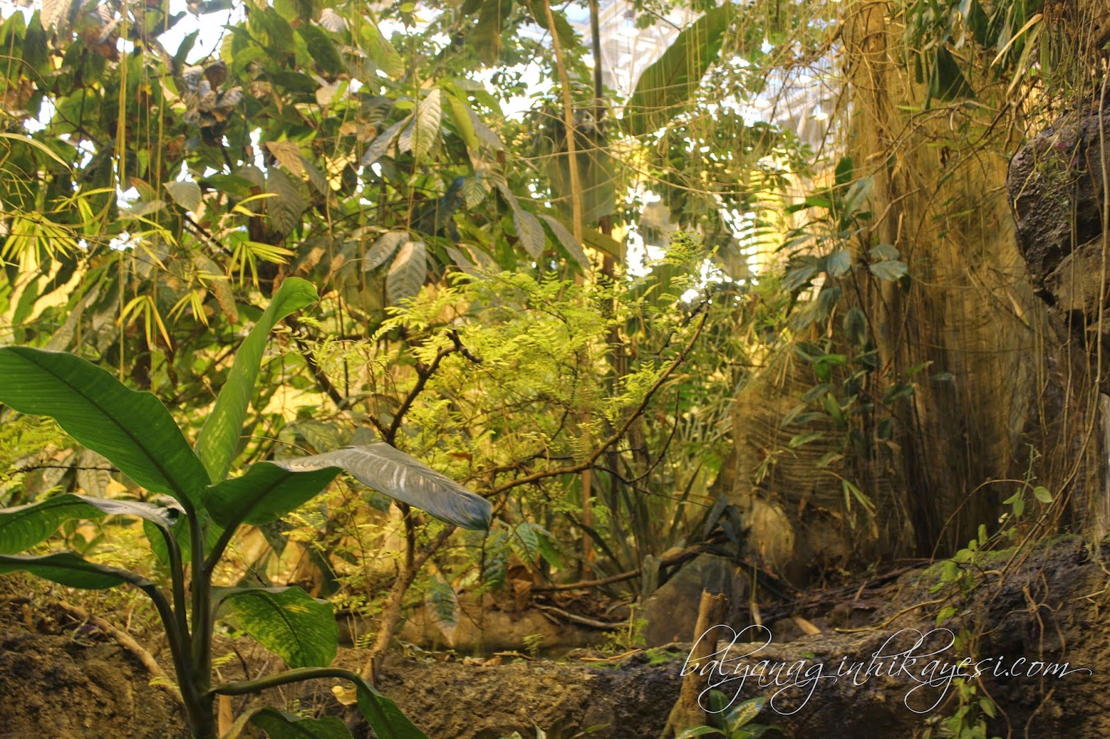 İstanbul Akvaryum Florya gezimiz. | Bal Yanağın Hikayesi