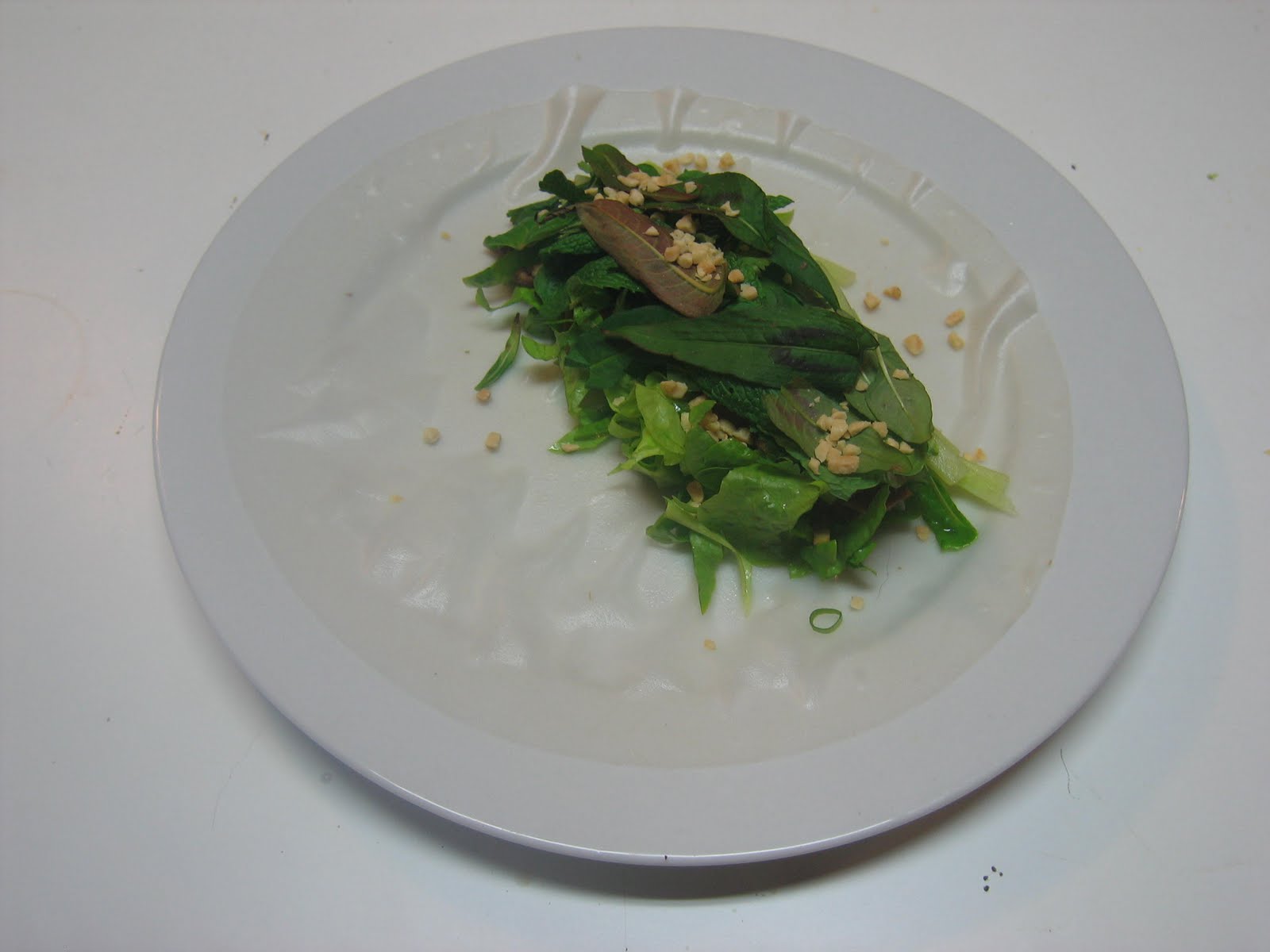 Spaces Between The Gaps: Vietnamese Rice Paper Rolls