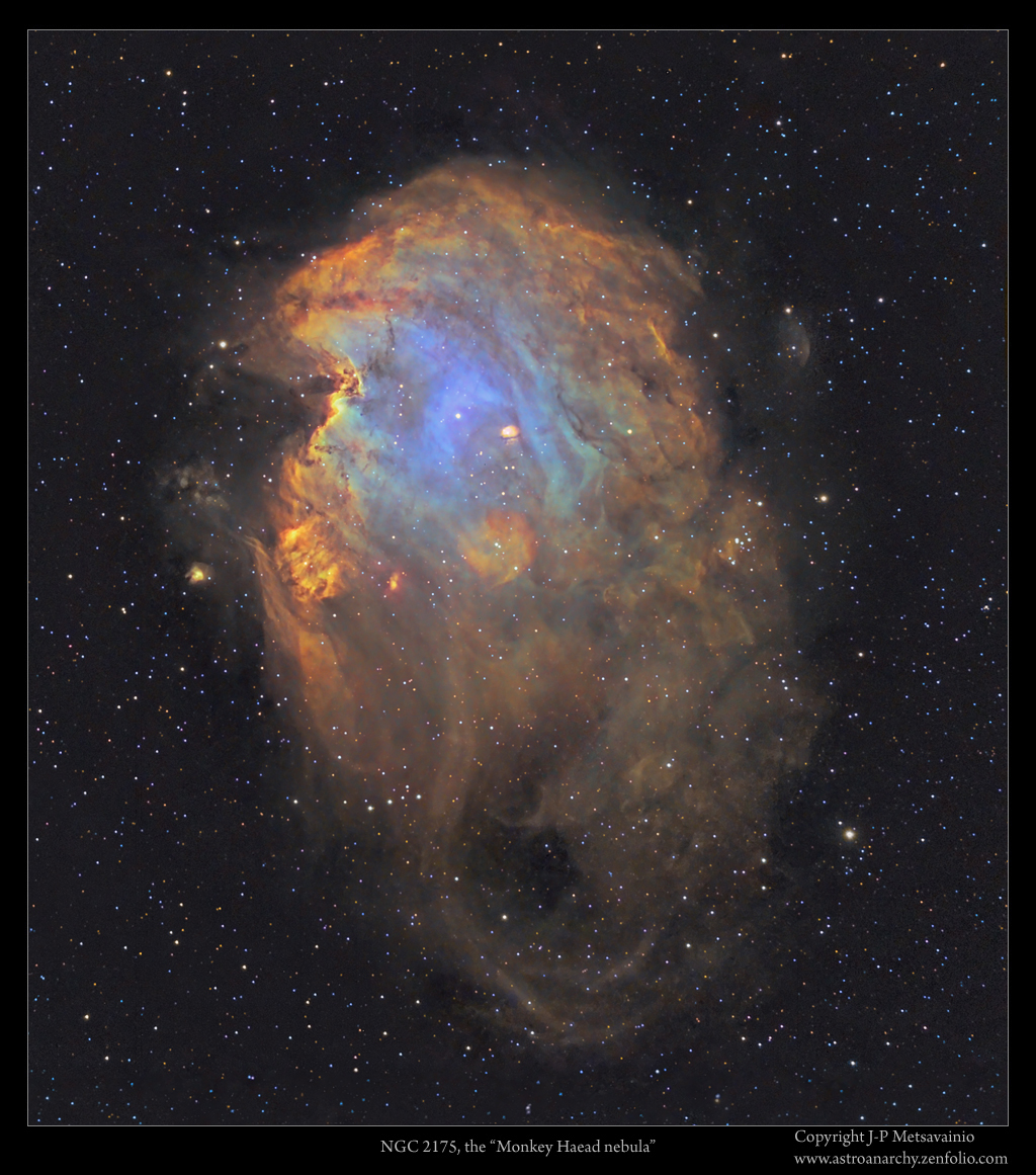 Astro Anarchy: NGC 2174, the Monkey Head Nebula, project finalized