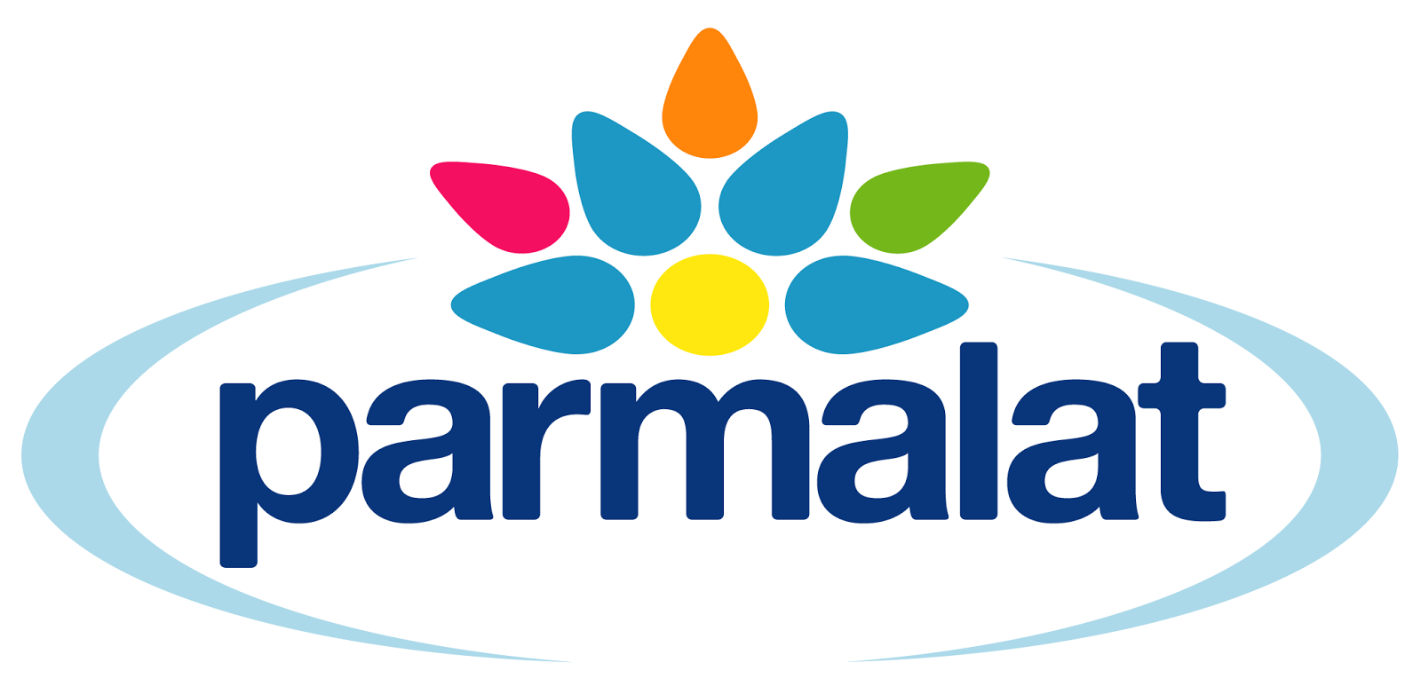 Auditoría de Sistemas: PARMALAT