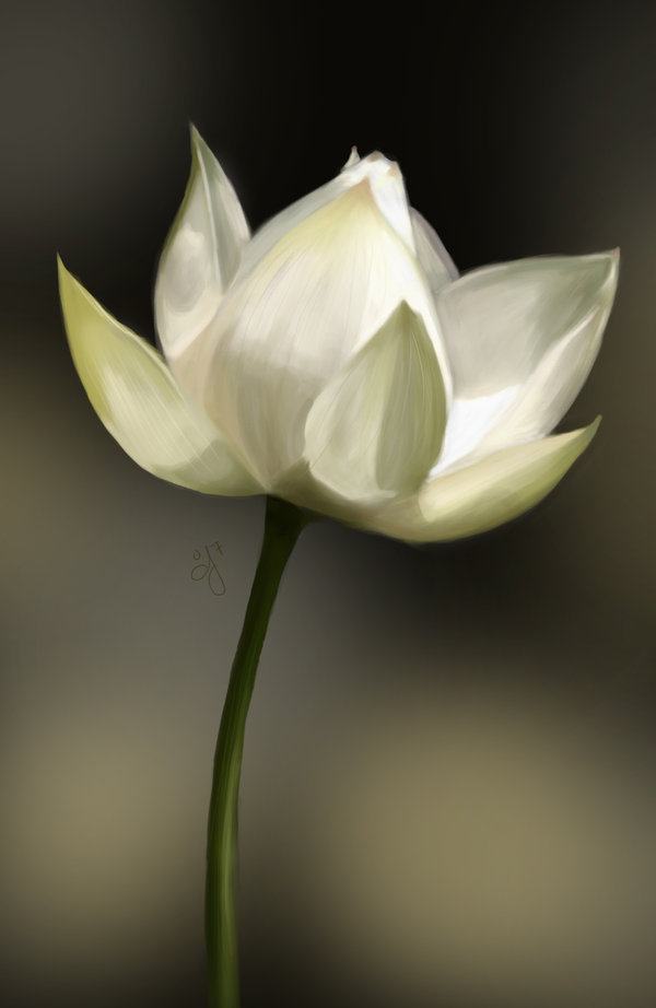 Solitude: Symboliek lotusbloem