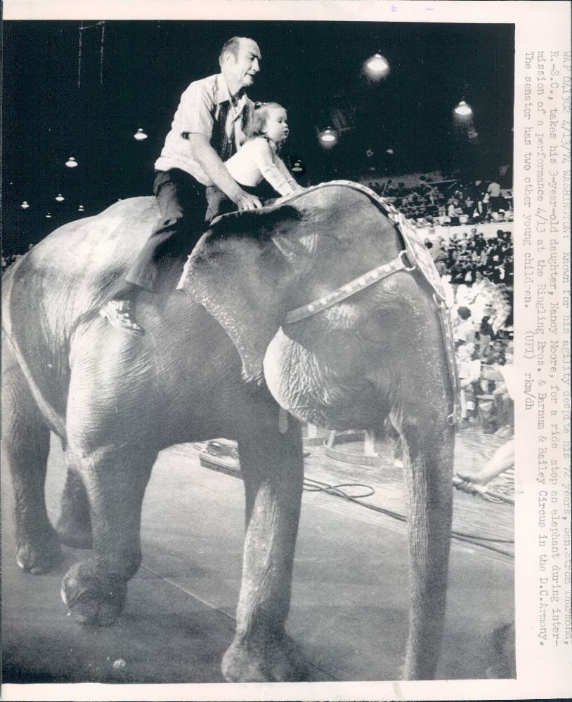 The Circus "NO SPIN ZONE": Ringling Bros. Elephants 1974
