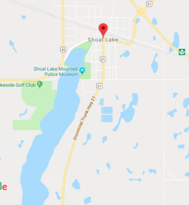 PLANET IN PERIL (PinP) : A massive die-off of fish in Shoal Lake, in ...