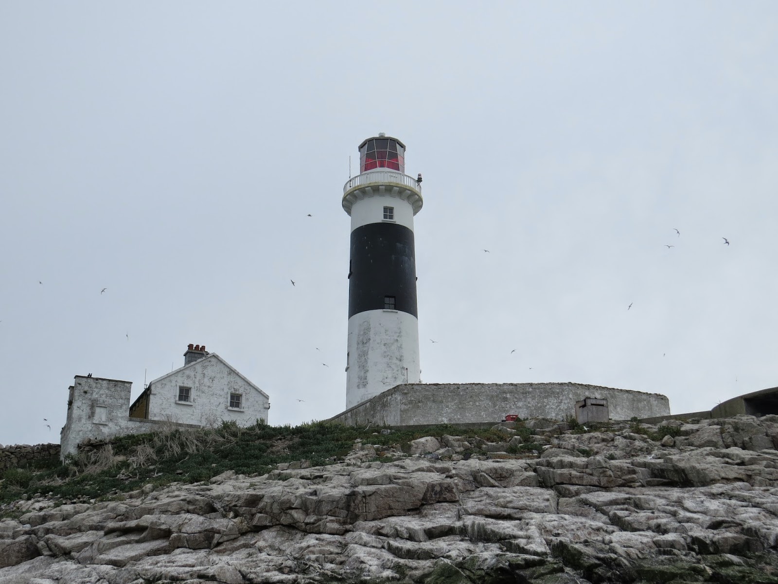 Pete's Irish Lighthouses: Rockabill