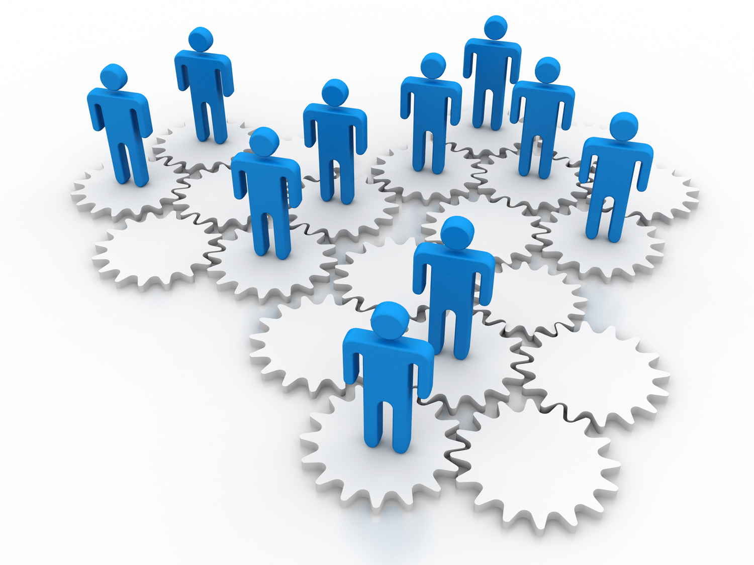 LA GESTIÓN EMPRESARIAL : La Organización Administrativa