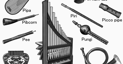 World musical instruments: P ... world musical instruments